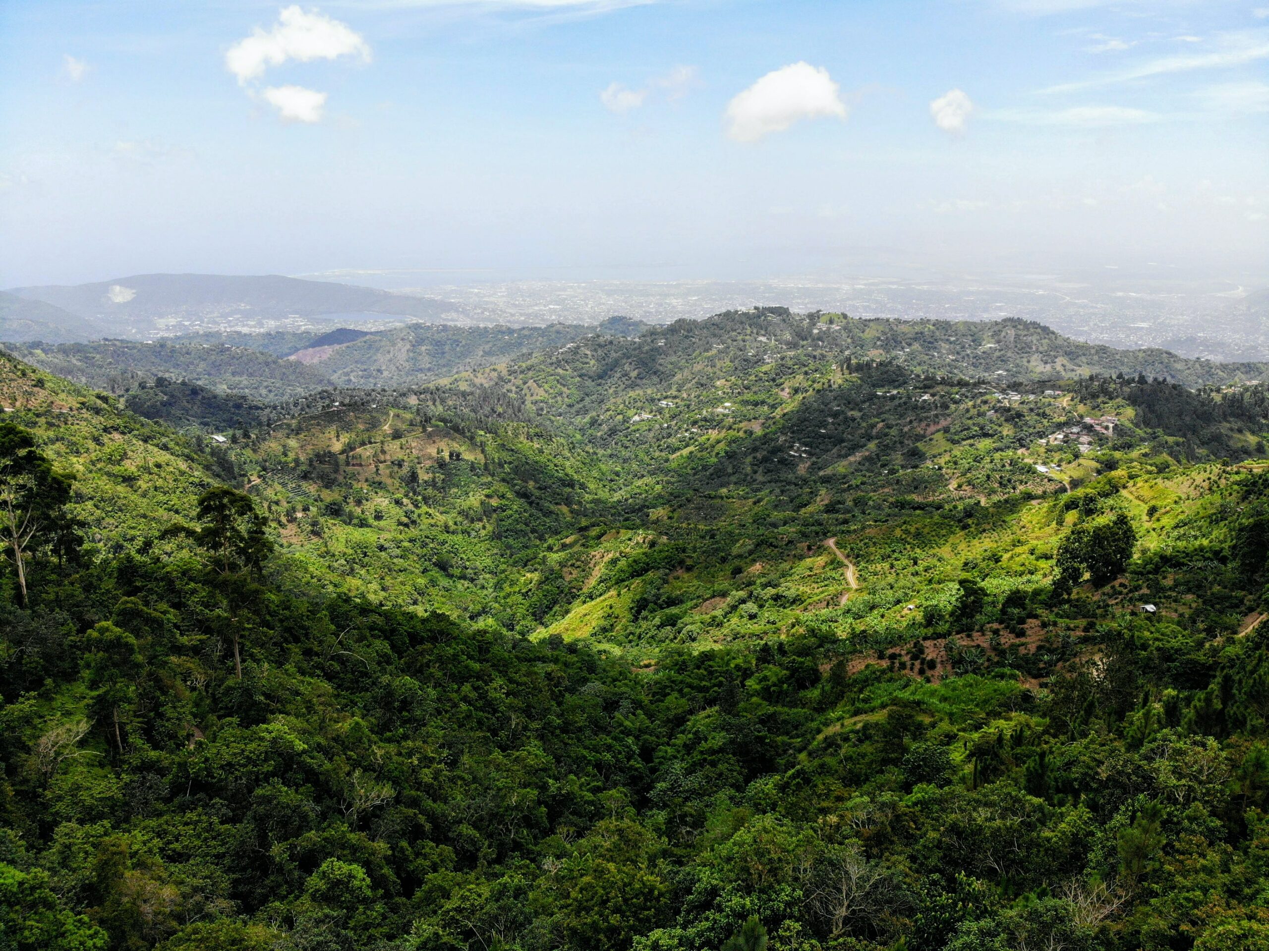 The Ultimate Jamaican Honeymoon Guide: Where To Stay, What To Do, And ...